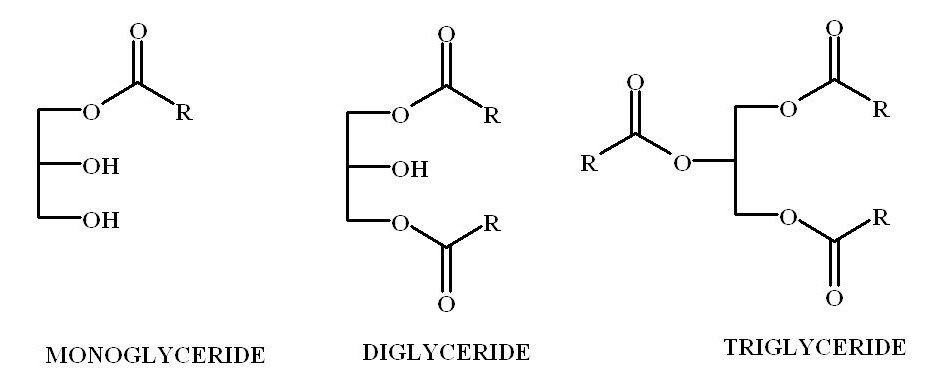 Please help! A typical fat molecule is made up of: